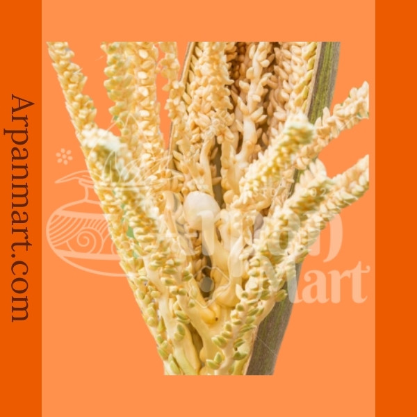 Coconut Flower - Arpanmart - One Stop Super Specialty Store