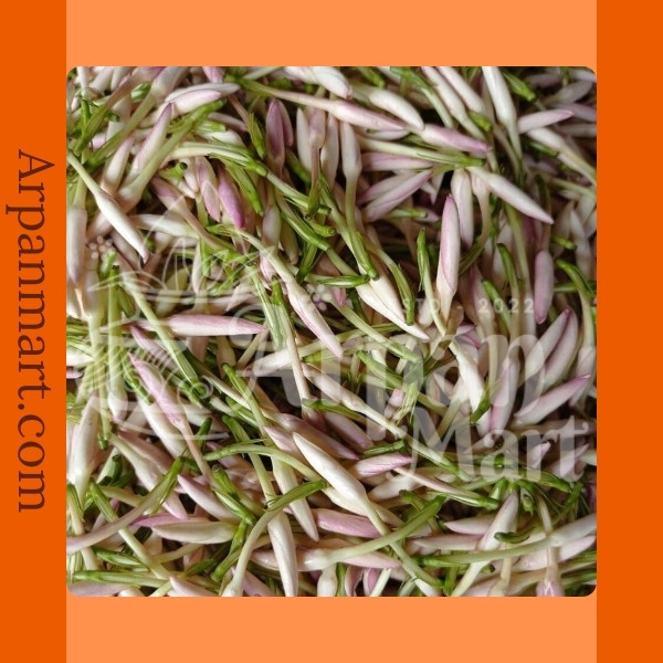 Jathi Mullai (Loose) – Arpanmart – One Stop Super Specialty Store