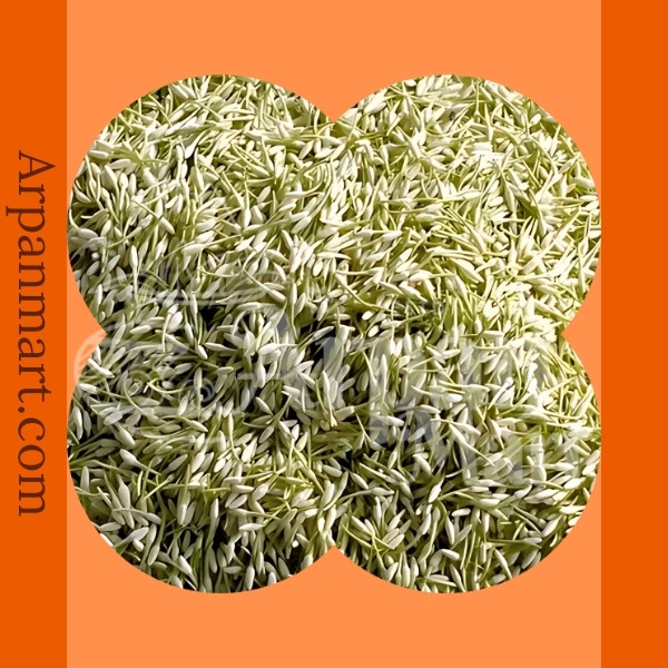 Mullai (Loose) - Arpanmart - One Stop Super Specialty Store