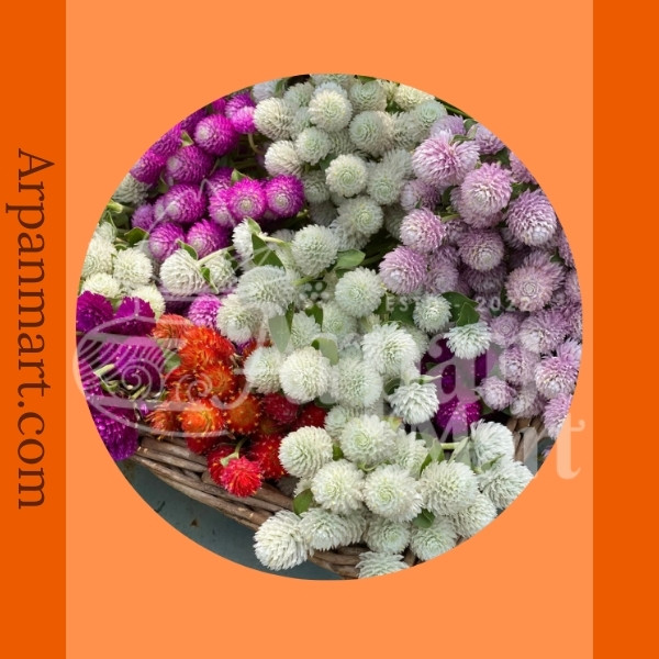 Vadamalli (Loose) - Arpanmart - One Stop Super Specialty Store